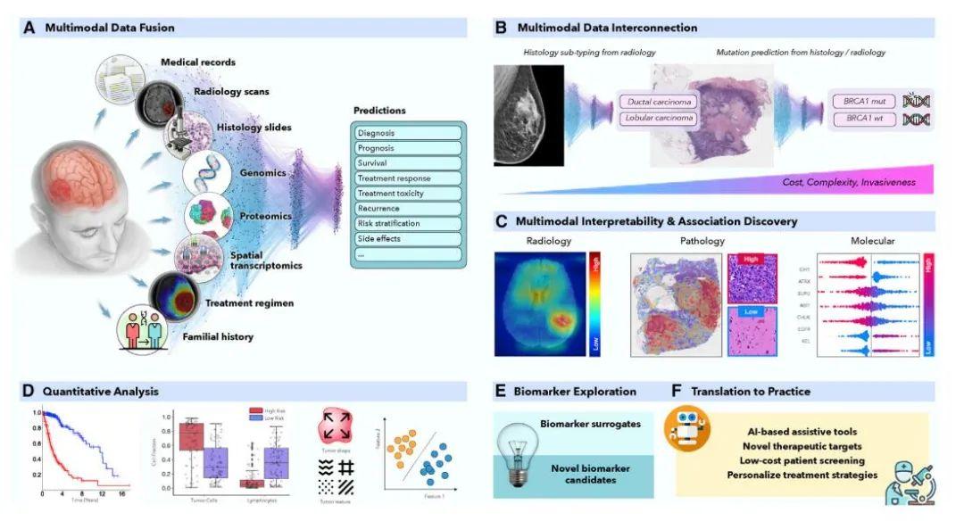 Cancer Cell | AI集成肿瘤多模态数据：数据融合和关联发现 - 知乎
