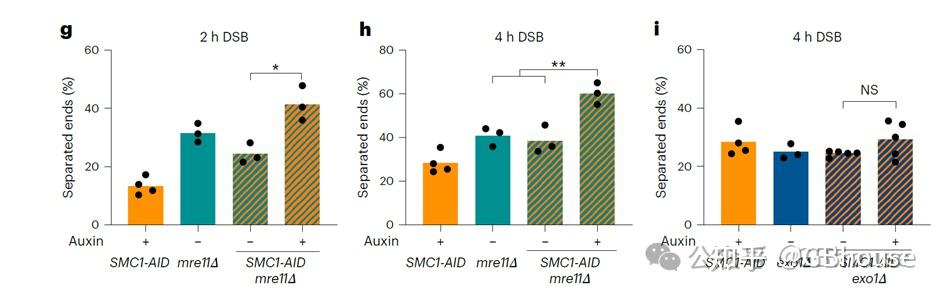 NCB|看Cohesin如何介导DNA双链断裂末端连接 - 知乎