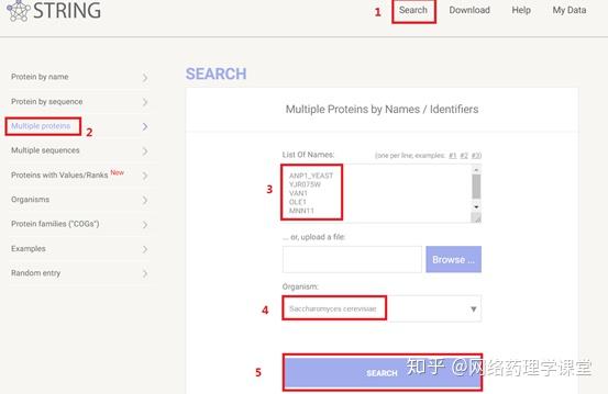 STRING数据库在网络药理学研究中的应用详解 - 知乎