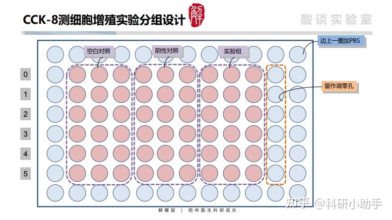 细胞实验不会做？CCK-8、MTT、划痕实验 、transwell 实验、PI染色等14个实验，巨详细！