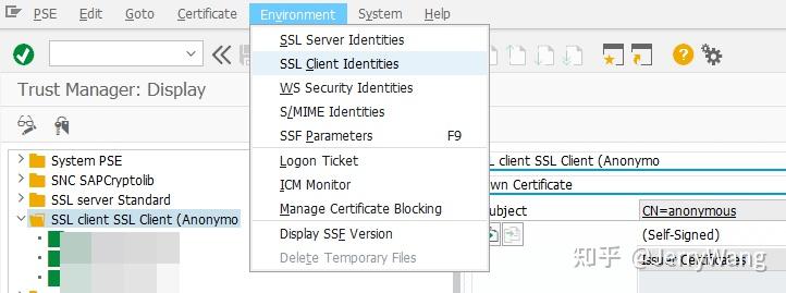 关于 SAP ABAP CL_HTTP_CLIENT API 中的 SSL_ID 参数 - 知乎