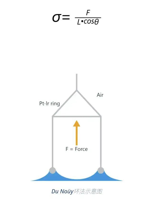 你见过马的汗吗？为什么看起来像奶泡？ - 知乎