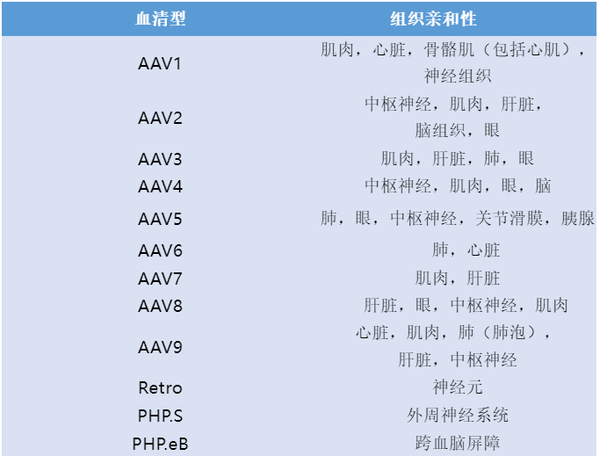 知识窗：系统注射1-9血清型AAV病毒在小鼠体内表达及靶向性研究 - 知乎