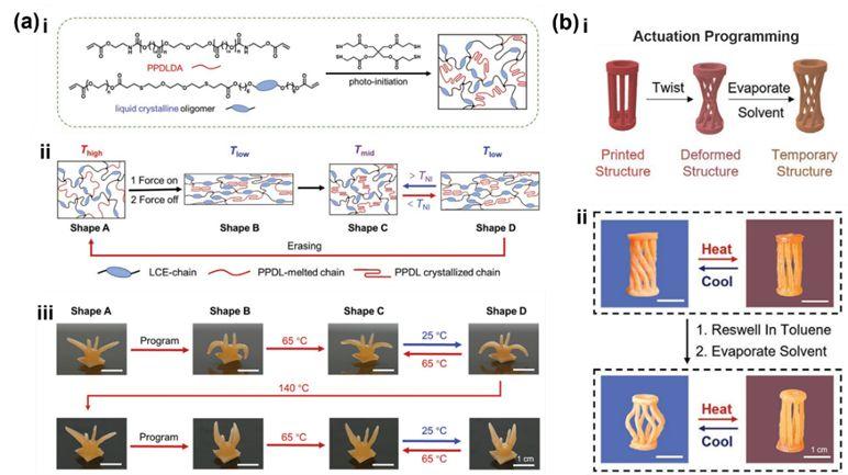 新加坡南洋理工大学周琨教授团队综述：4D打印液晶弹性体研究进展 - 知乎