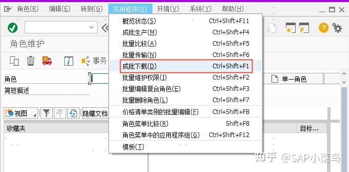 SAP运维日常-PFCG批量上传角色 - 知乎