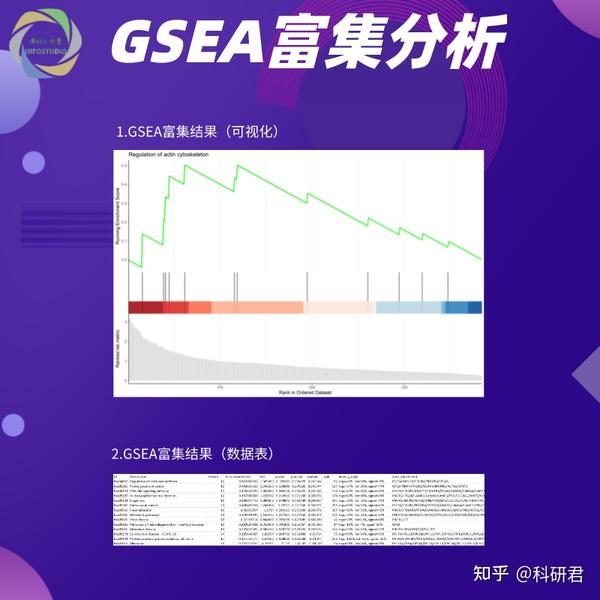 GSEA、GSVA富集分析 - 知乎