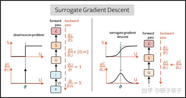 白话脉冲神经网络（7）：卷积脉冲神经网络中的替代梯度下降 - 知乎