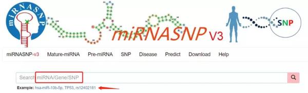 miRNA SNP数据库——miRNA SNP V3 - 知乎