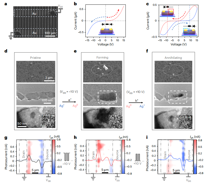 Nature Electronics | ZEPTOOLS In-Situ TEM Facilitates Microscopic ...