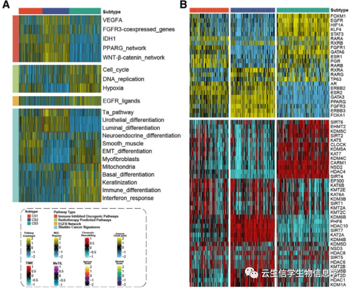 影响因子虽下降，但这篇8分+纯生信很值得学习！10种机器学习算法+10种多组学聚类算法整合分析，创新性绝绝子！ - 知乎