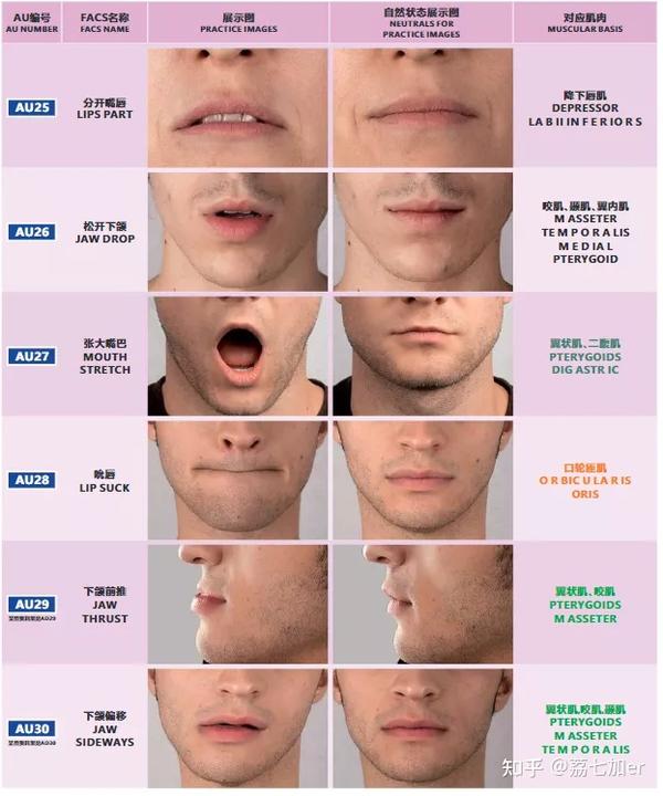 FACS-Facial Action Coding System 面部表情编码系统 各AU(Action Unit)说明 - 知乎