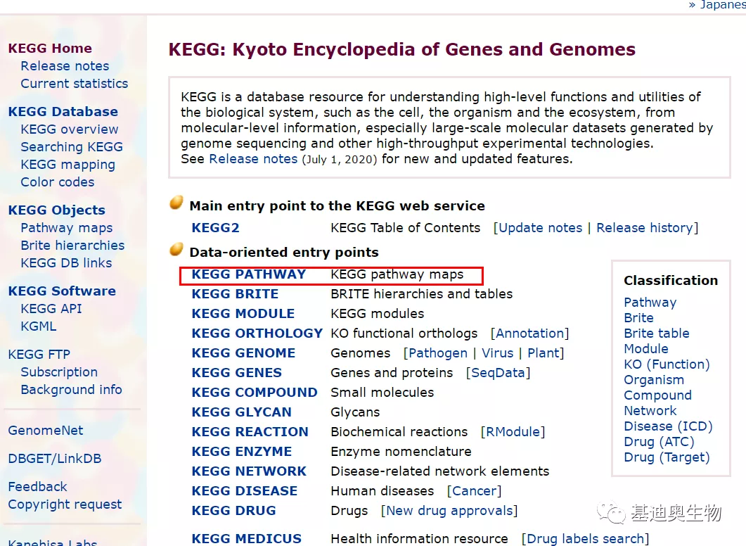 如何看懂KEGG通路图？ - 知乎