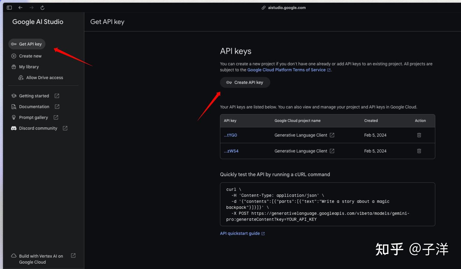 Google AI （Gemini）接入指南 - 知乎