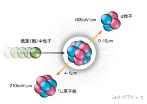 深入了解！！“硼中子俘获疗法（BNCT）”的原理和常见问题，探索癌症治疗的新方向！ - 知乎