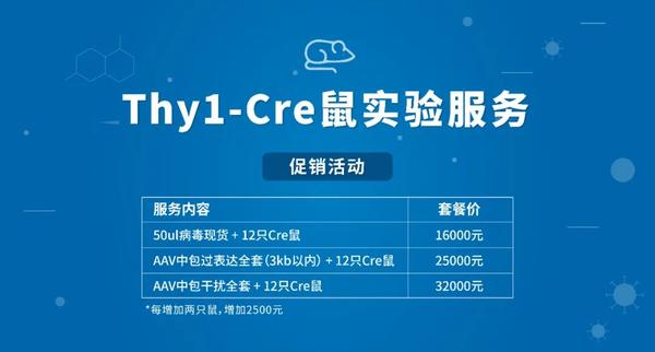 锥体神经元研究利器—Thy1-Cre鼠实验服务 - 知乎