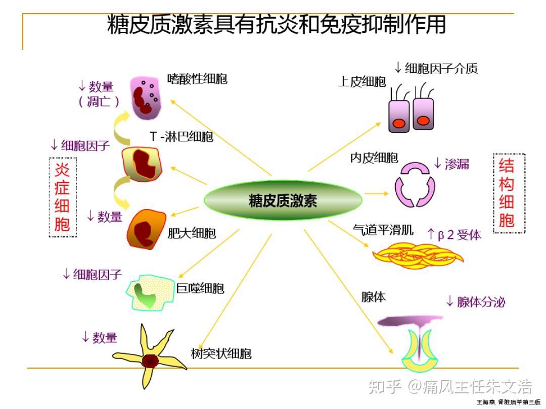 在痛风治疗中用好糖皮质激素,关键在于以下几点 知乎