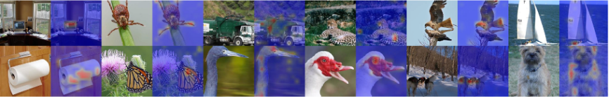 DynamicViT: 动态Token稀疏化的高效视觉 Transformer - 知乎