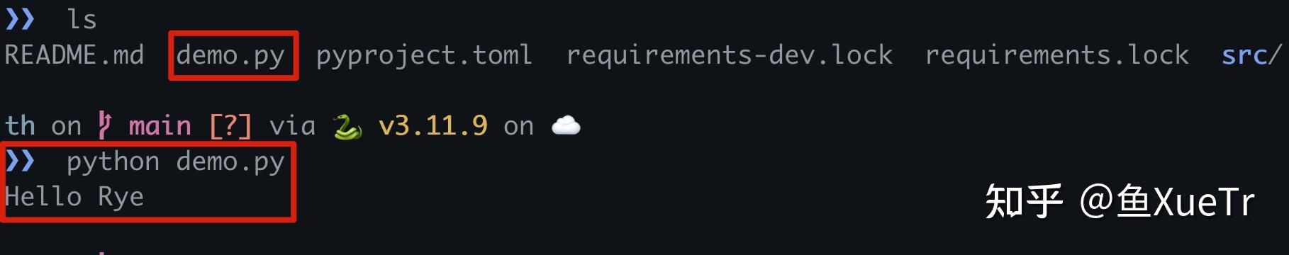 Python包管理器：Rye 使用指南和注意事项 - 知乎