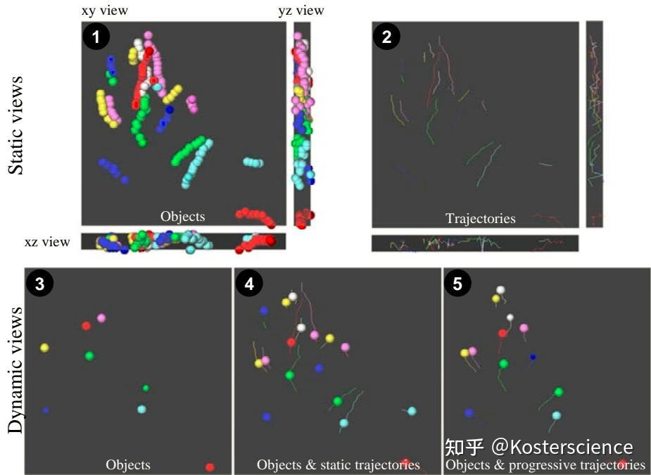 Imagej Manual Tracking（手动追踪）插件玩转指南 - 知乎