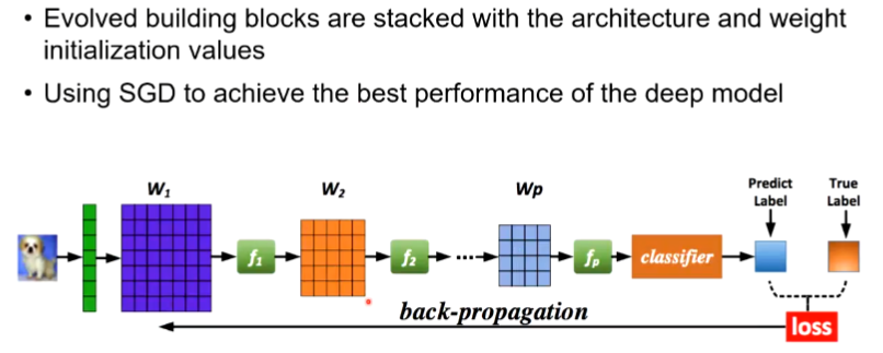 Evolutionary deep learning(进化深度学习) - 知乎