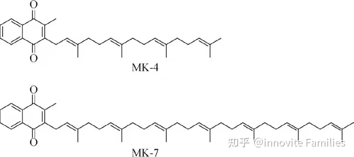 被遗忘的维生素、革命性的维生素： VK2，你知道它从何而来吗？ - 知乎