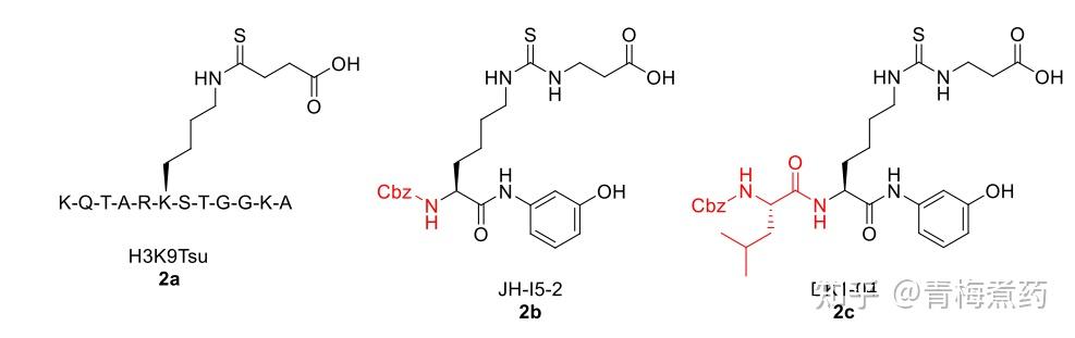 药物发现 | 蛋白质赖氨酸脱酰基酶Sirtuin 5（SIRT5）的治疗潜力和活性调控 - 知乎