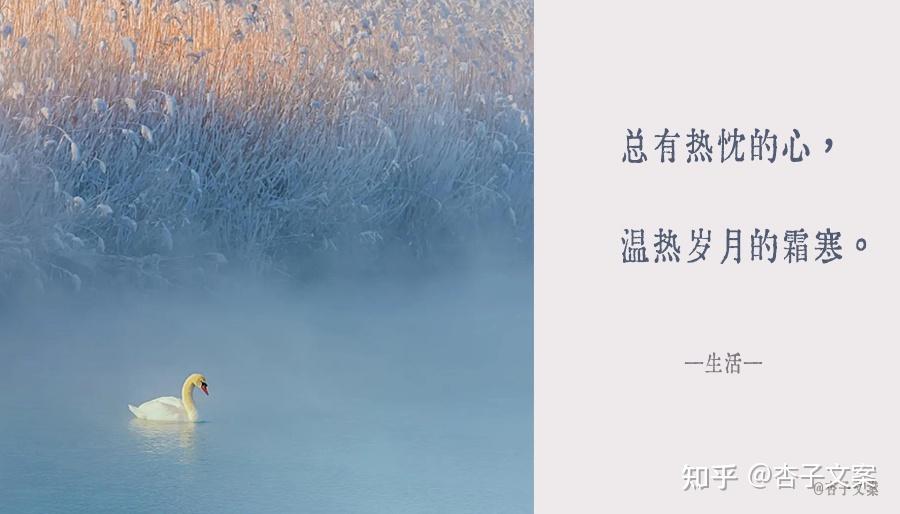 原创霜降文案,温暖有韵味 知乎