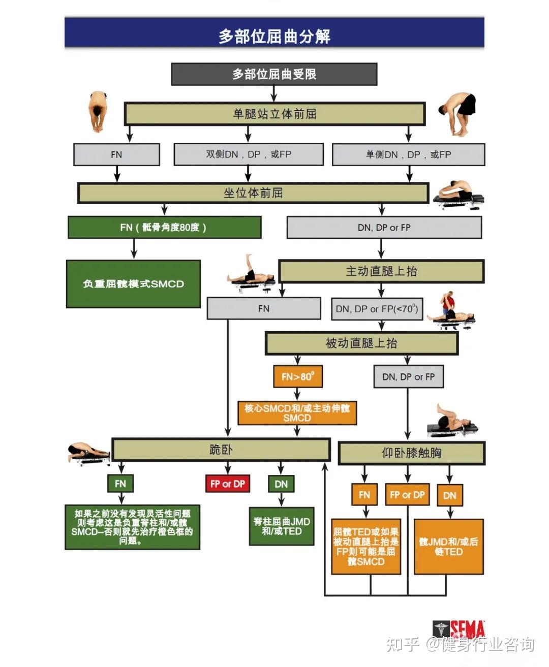 康复治疗师如何运用选择性功能动作评估SFMA（流程图）-康复治疗师和体能训练师必备技能 - 知乎