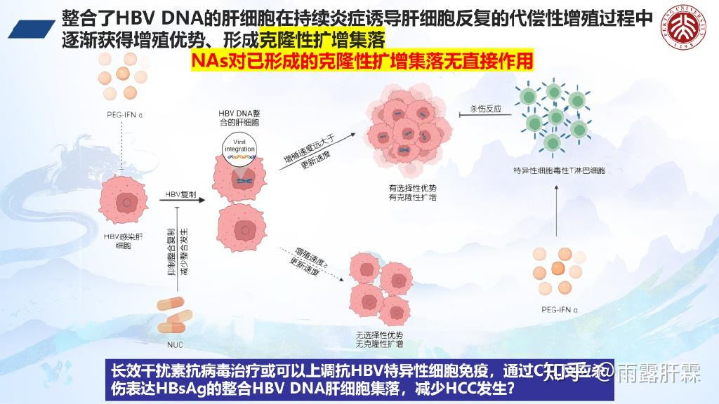鲁凤民教授：积极治疗 追求治愈 消除整合 减少HBV相关肝癌发生 - 知乎