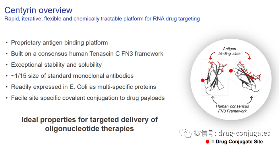 Aro Biotherapeutics：基于Centyrin库的双靶点寡核苷酸药物ABX300 - 知乎