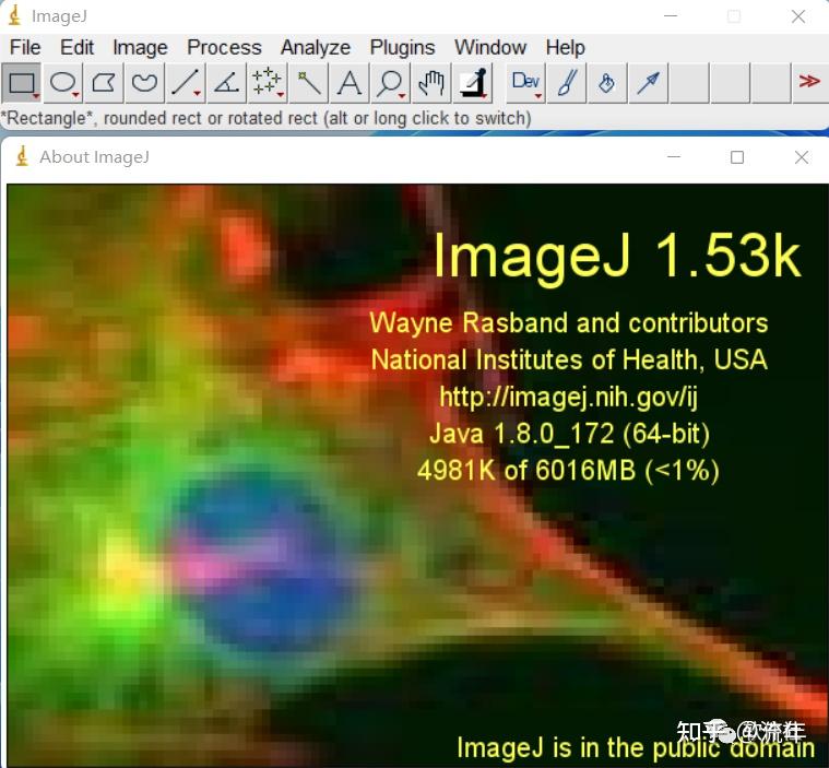 ImageJ/FIJI（图像处理）软件安装教程，安装包下载 - 知乎