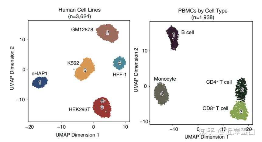 近岸蛋白NGS产品荣登Cell Research：助力ATAC-seq技术再升级 - 知乎
