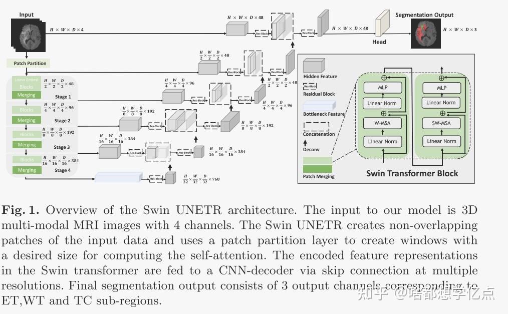 基于transformer-UNet的医学图像分割 - 知乎