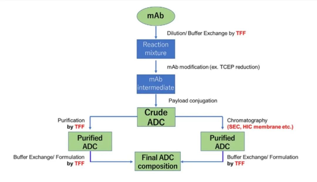 11-曜享干货 | ADC药物质量研究系列（一）MS-DAR值分析平台方法加速ADC药物工艺开发进程 - 知乎
