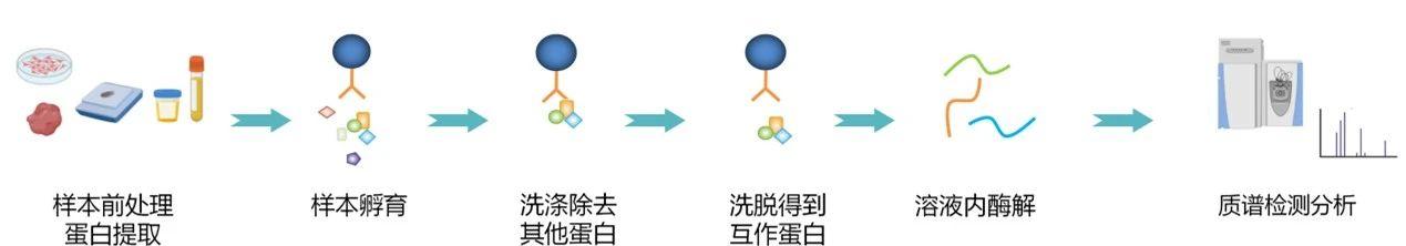 互作蛋白组学技术对比：邻近标记与传统IP-MS、Pull down-MS优势对比 - 知乎