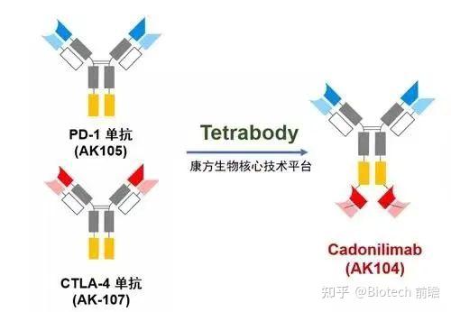 宫颈癌竞逐丨双抗、ADC、PD-1之后，PD-L1获批上市 - 知乎