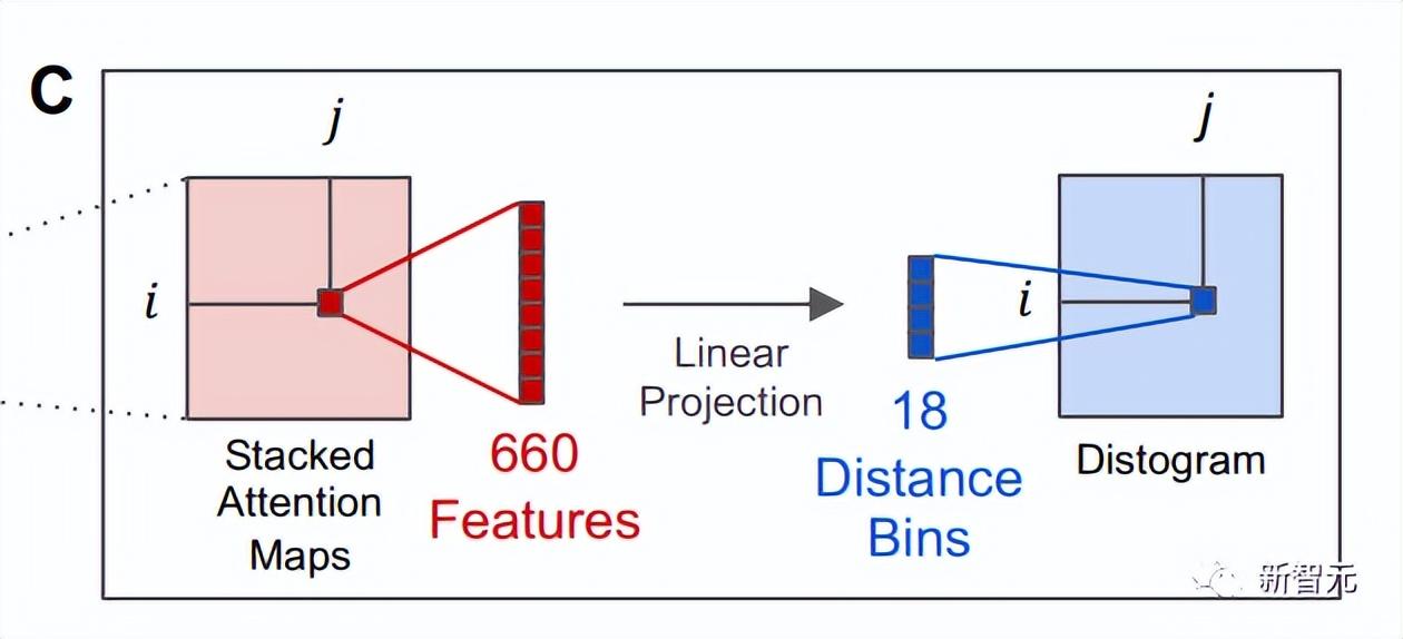 Meta让150亿参数语言模型学会从头设计「全新」蛋白质！LeCun：效果惊人 - 知乎