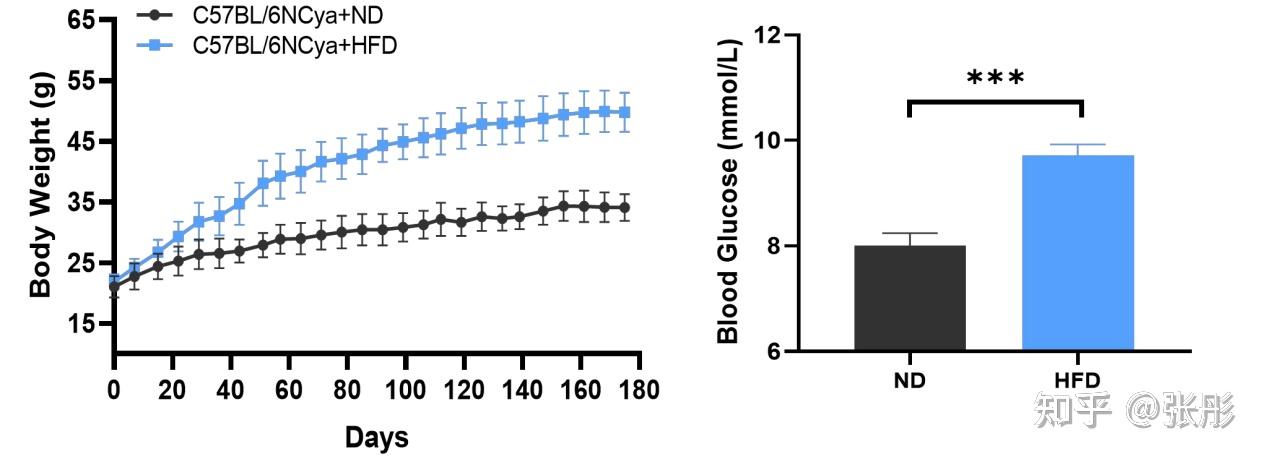 DIO-B6小鼠｜高脂饮食诱导的肥胖小鼠模型（DIO） - 知乎