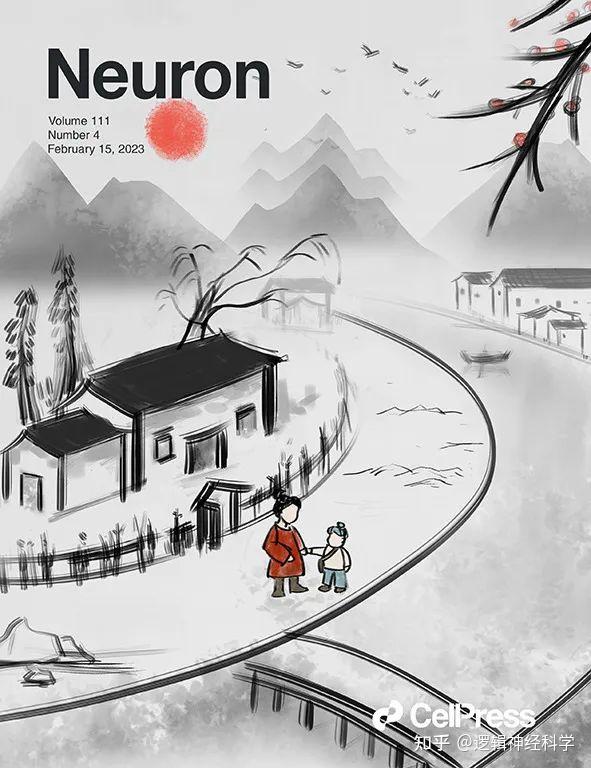 Neuron︱收藏！2023年期刊封面文章汇总 - 知乎