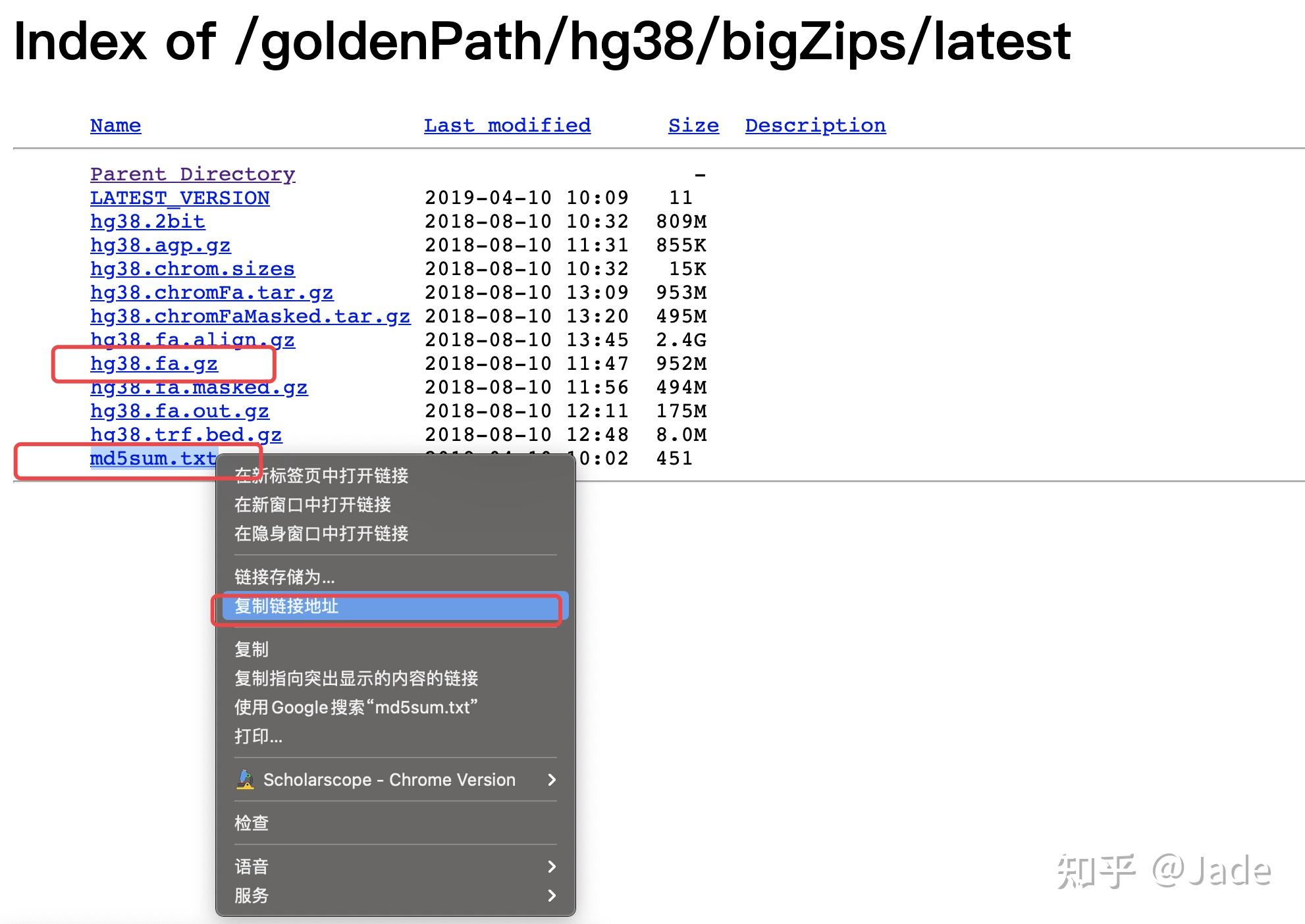 UCSC参考基因组下载（最新版hg38） - 知乎