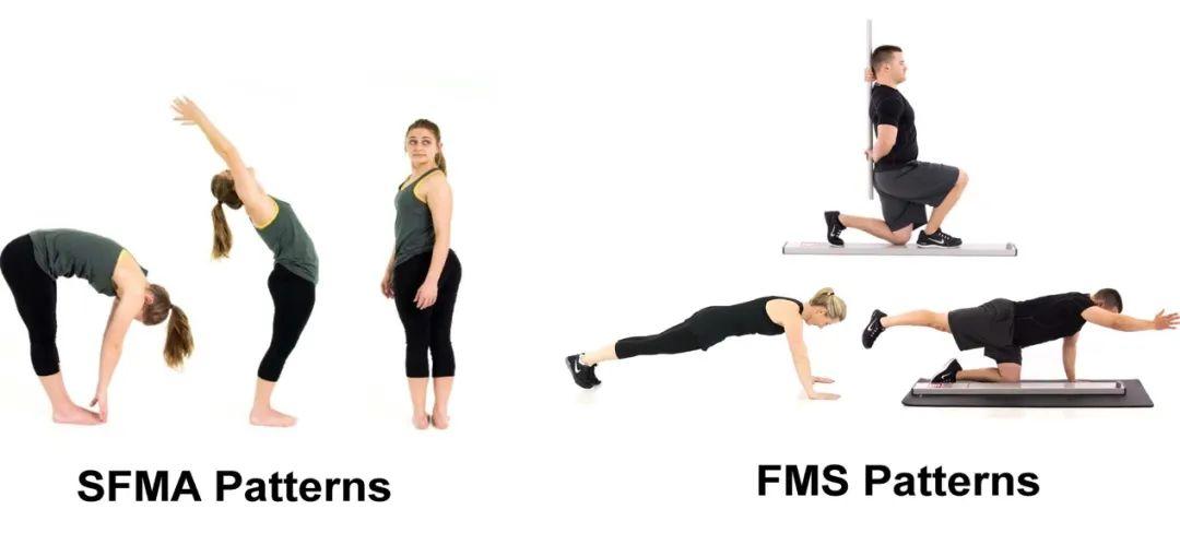 FMS 和 SFMA：我何时应该使用哪一个？ - 知乎