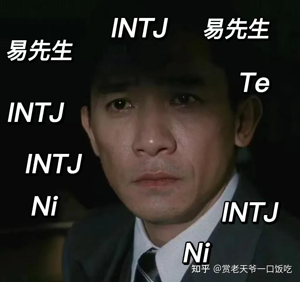 Ni Se Ne Si Fe Fi Ti Te 八维主导的阵营表现 - 知乎