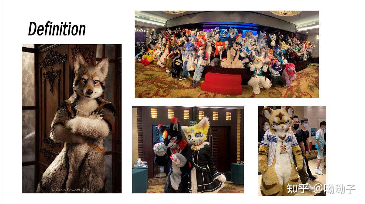 A Brief Introduction of Furry Culture and Furry Fandom - 知乎