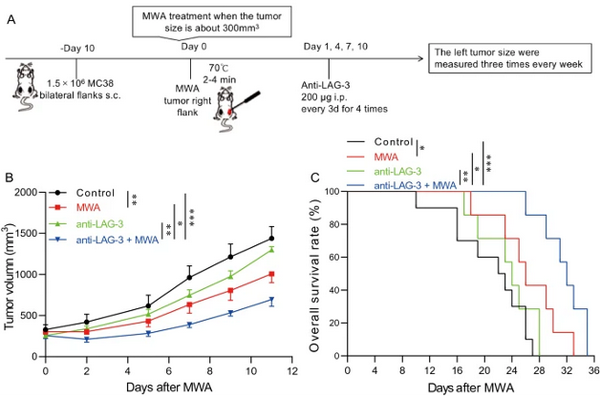 项目文章丨单细胞测序揭示LAG3阻断剂对微波消融抗癌协同作用的机制 - 知乎