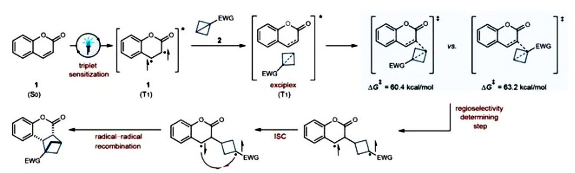 MPOC 笔记 第十六章 光化学（4） Jablonski 图-3 - 知乎