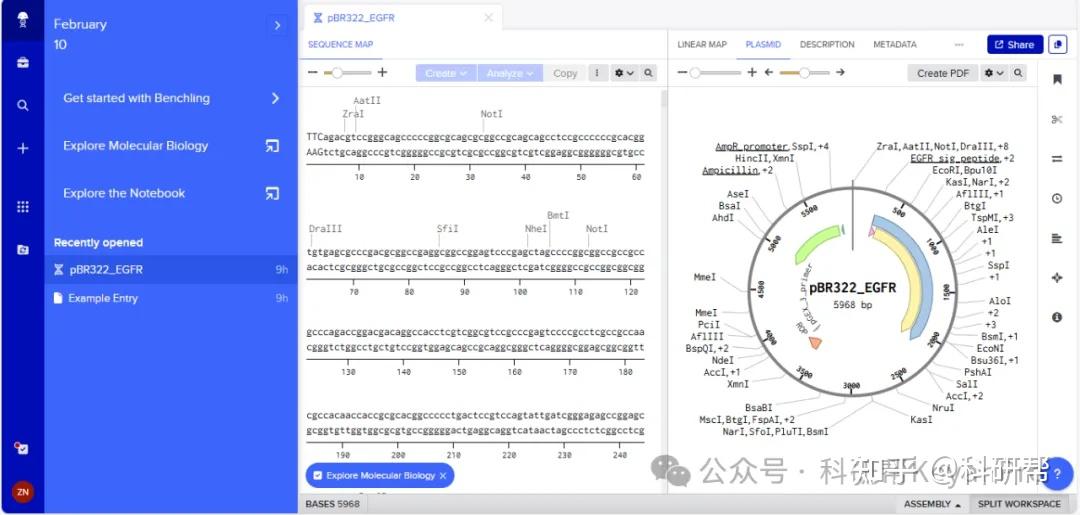 如何设计高效sgRNA？从原理到实战 - 知乎