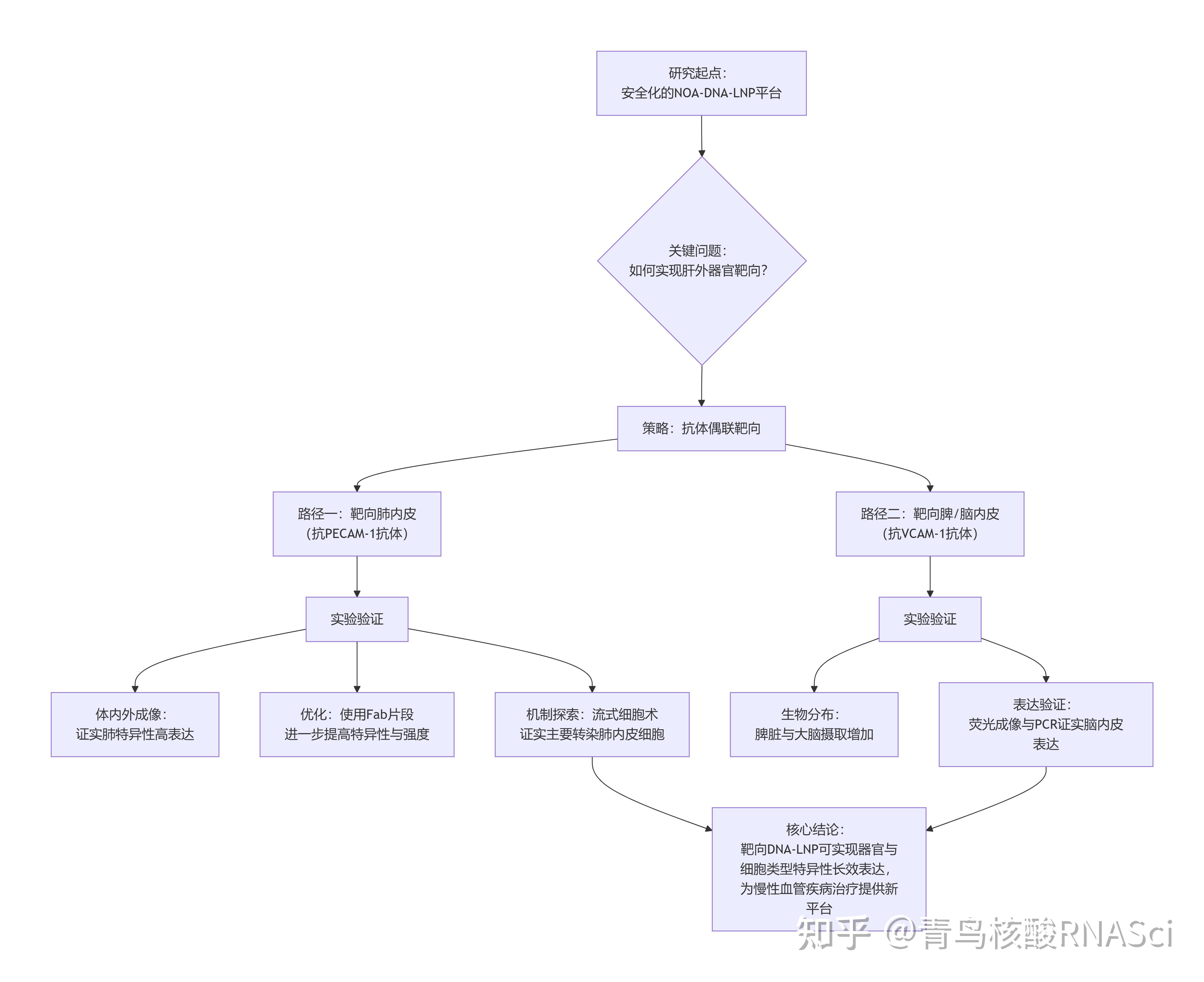 宾大Brenner Lab|抗体偶联LNP-DNA精准靶向肺/脑内皮细胞 - 知乎