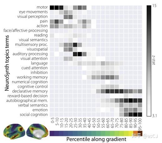NeuroSynth元分析 - 知乎