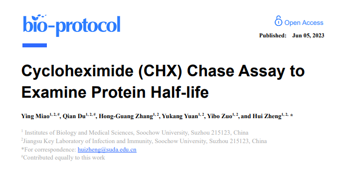 轻松追踪蛋白质寿命：揭开CHX Chase分析的神秘面纱 - 知乎