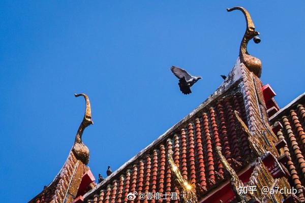 a7club-每日作品精选（2023.7.11） - 知乎